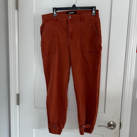 Express | Pants & Jumpsuits | Express Burnt Orange Cargo Pants | Poshmark